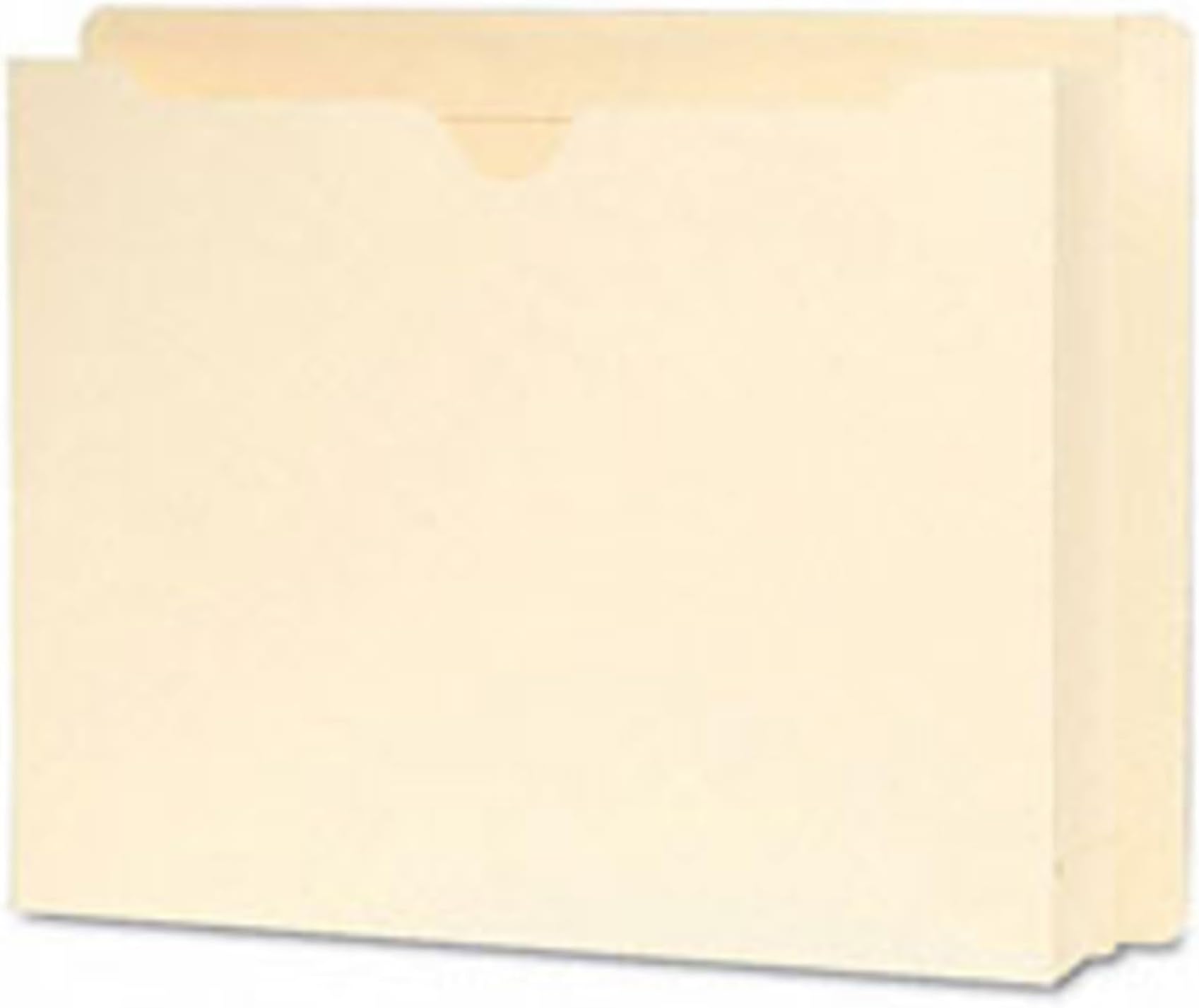 Amazon.com : Staples 396444 Paper Stock File Jacket 2-Inch Expansion ...