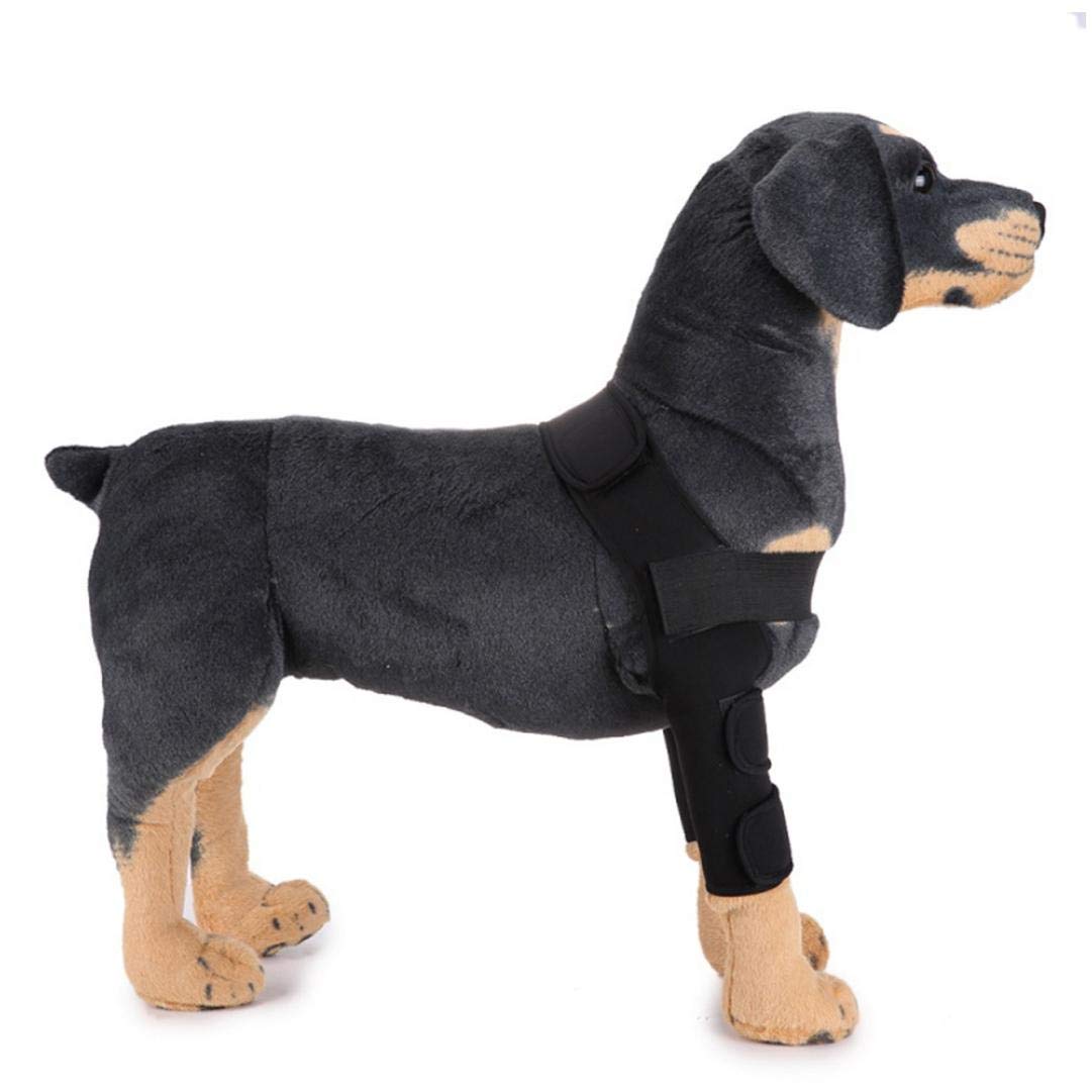 Buy Ouken Dog Rear Leg Braces Canine Hind Hock Joint Sleeves With ...