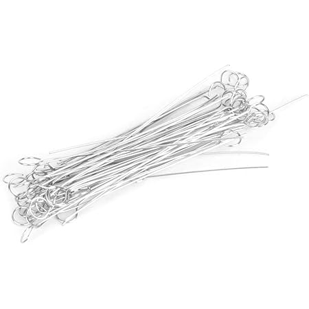 Amazon.com: 50PCS Reusable Inoculating Loops and Needle Set Laboratory ...