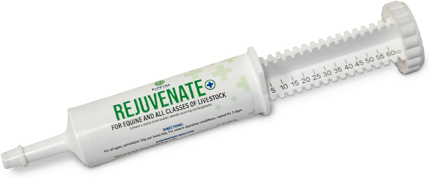 Amazon.com : Rejuvenate+ Equine Oral Paste (60g Oral Syringe, Pack of 1 ...