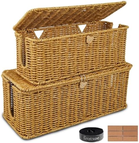 Amazon.com: Posprica Cable Management Box with Lid, 2Pack Handwoven ...
