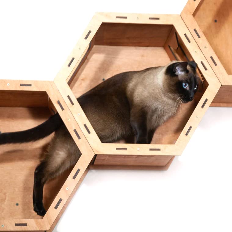 Amazon.com: Hexagon Cat shelves, Wooden cat house, Cat tree, Cat bed ...