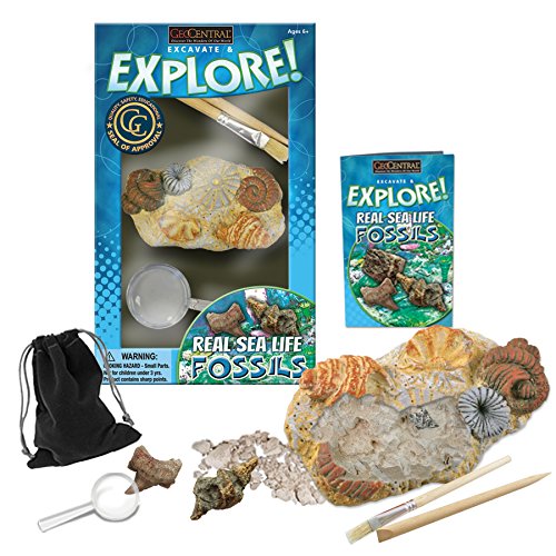 GeoCentral Excavation Dig Kit - Fossils - Want It All