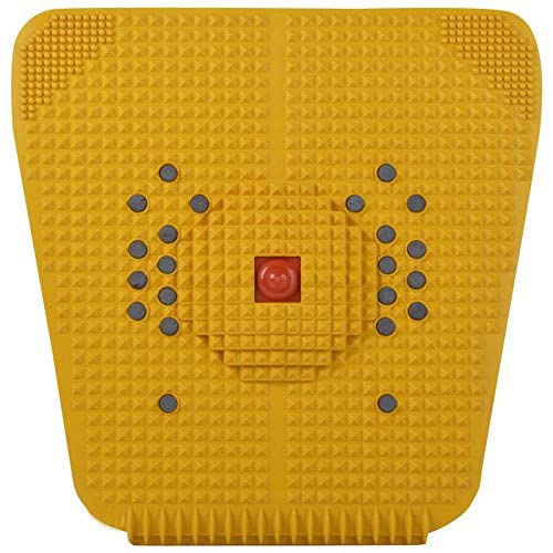 ANCS Acupressure Foot Mat Magnets for Stress and Whole body Pain Relief ...