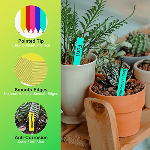 300 Pcs Multi-Coloured Plastic Plant Labels for Outdoor Plants with ...