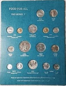 Amazon.com: Food for All FAO Money Board #7, Turquoise Board 16 Coins ...