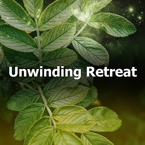 Amazon.com: Unwinding Retreat : Chillout Lounge, Nature Noise, Natural ...