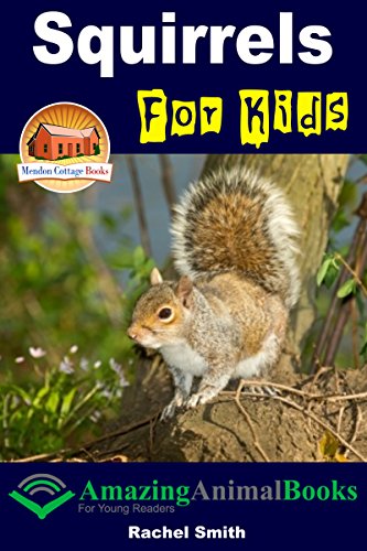 Amazon | Squirrels For Kids (English Edition) [Kindle edition] by Smith ...