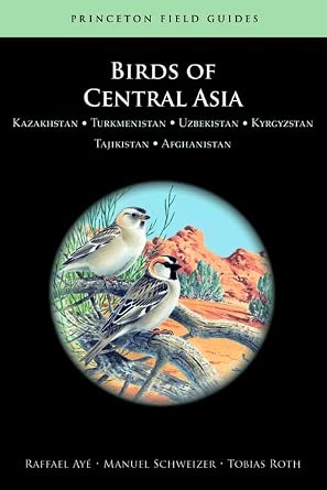 اشتري اونلاين بأفضل الاسعار بالسعودية - سوق الان امازون السعودية: Birds ...