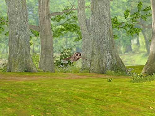 Watch Peter Rabbit - Season 1 | Prime Video