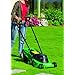 Amazon.com : RazarSharp MiniMower - The Original 13" Electric Lawn ...