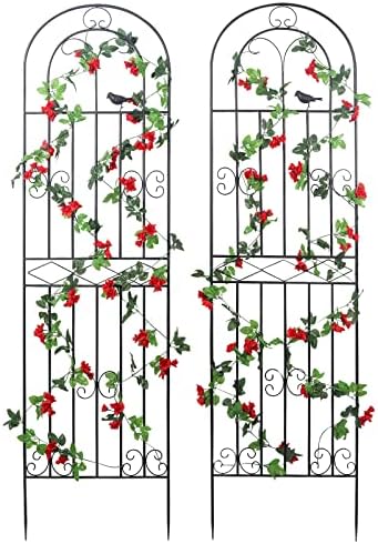 Amazon.com : Panacea 84401 Scroll Trellises, Black, 72" H, Pack of 2 ...