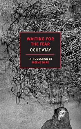 Waiting for the Fear : Atay, Oguz, Hubbell, Ralph: Amazon.com.tr: Kitap