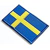 Amazon.com: stidsds 2 Pack Sweden Flag Patch Sweden Flags Embroidered ...