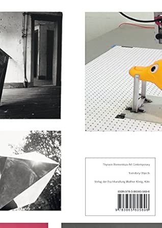 Transitory Objects Thyssen-Bornemisza Art Contemporary: VVAA ...