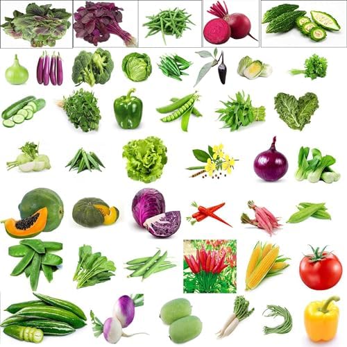 UGAOO Indian Vegetable Seeds Bank For Home Garden 50 Varieties - 2255 ...