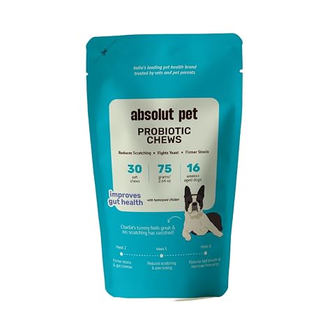 Absolut Pet Dog Supplement for Gut Health, Probiotics for Dogs That ...