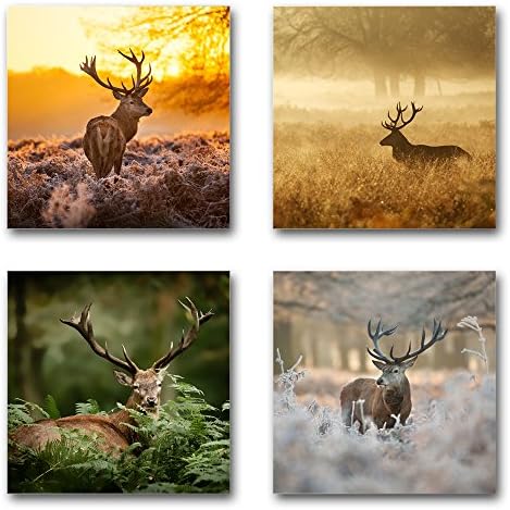 Amazon.de: 4 beeindruckende Wand-Bilder vom Hirsch im Wald und Natur ...