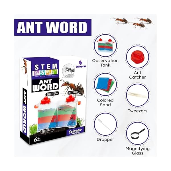 OLLAPOP - Ant Farm - Ant Farm Sand - Observation Skills - Science Kit ...