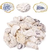 Amazon.com: QEQEKAKA 30PCS Oyster Shells Flat & Concave 4"-5" Large ...