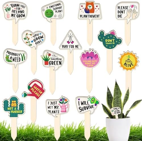 Amazon.com: Sassy Stakes Funny Plant Markers for Garden Set of 10 ...
