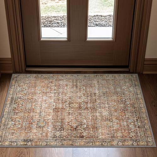 Amazon.com: Bavni Area Rug 2x3 Machine Washable Boho Vintage Distressed ...