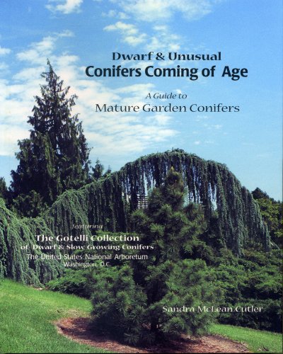 Dwarf & Unusual Conifers Coming of Age: A Guide to Mature Garden ...