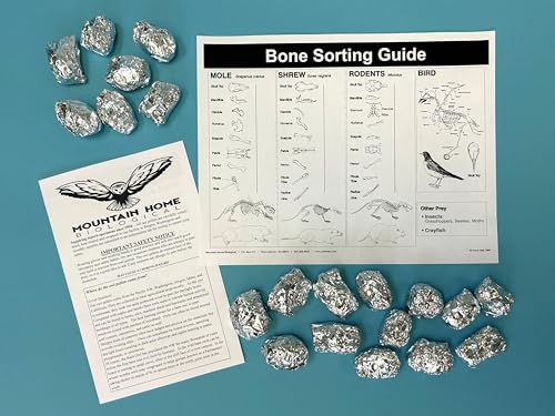 Digestion in Owls: From Beak to Pellet - Birds & Wetlands