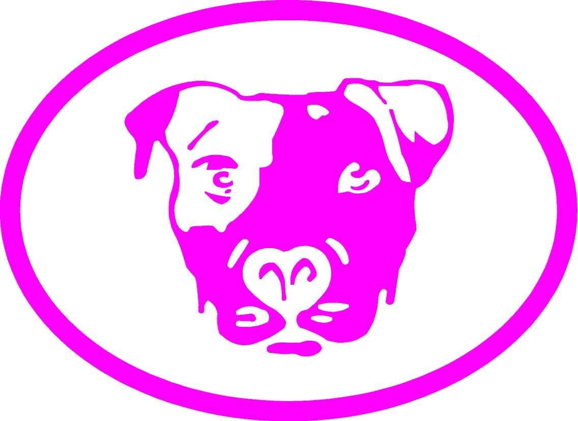 Amazon.com - 6 x 4.5" Pit Bull Face Euro Vinyl Die Cut Decal Bumper ...