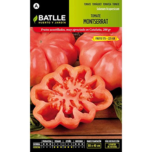 Semillas de tomate feo de Tudela: auténtico sabor tradicional. - Mi Hogar