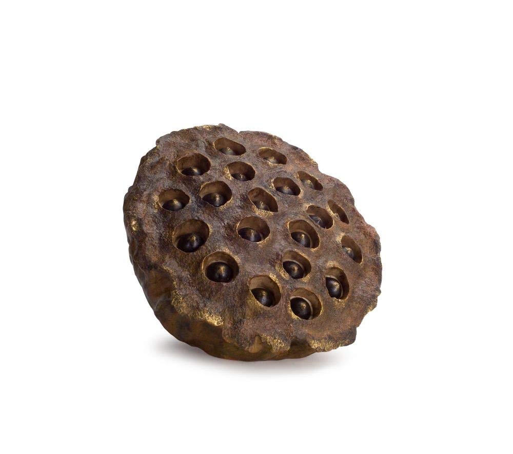 Lotus Seed Pods
