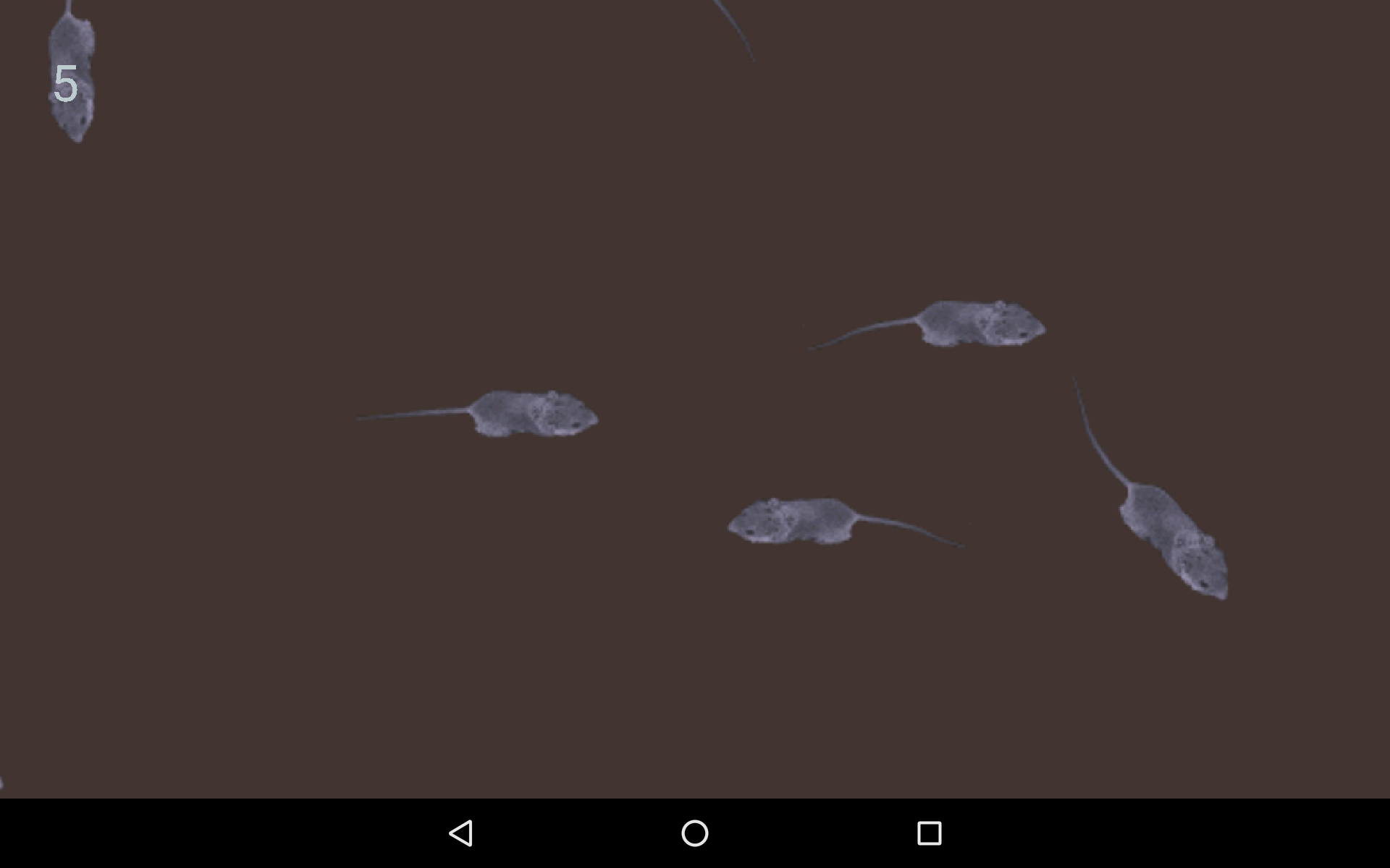 Mice Catch - Cat Game - App on Amazon Appstore