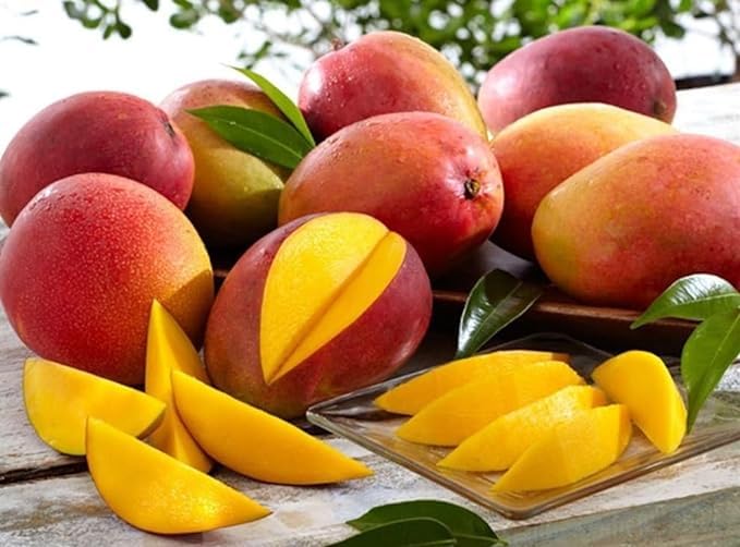 Nandini Garden Gulab Khas Mango Live Grafted Plant Jingu Mamidi ...