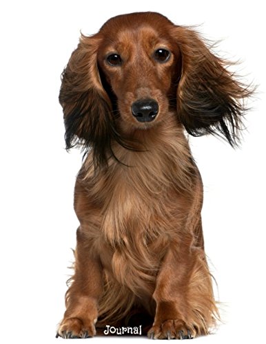 Journal: Dachshund: Publications, Dreamflight: 9781973462675: Amazon ...