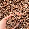 Premium Orchid Bark Substrate - Fine Grade, 8-15mm, Repotting Bark Soil ...