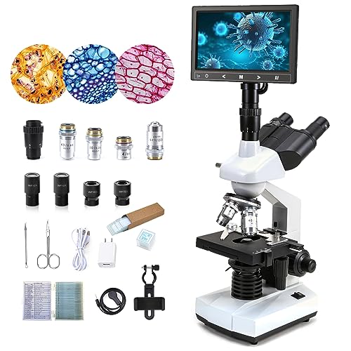 Top 10 Compound Microscope With Camera of 2022 - Katynel