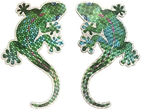 Amazon.com: Fiada 6 Pcs Butterfly Screen Magnets for Fridge Decorative ...