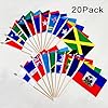 Amazon.com: LoveVC Caribbean 20 Countries Flags on Wood Stick Small ...