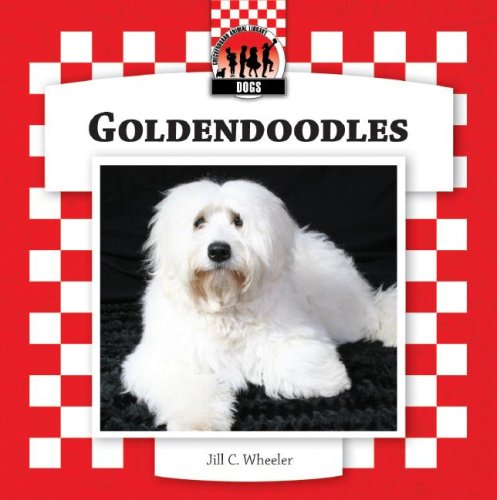 Goldendoodles (Designer Dogs Set 7): Wheeler, Jill C.: 9781599289632 ...