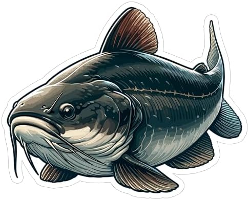 Amazon.com: Catfish Sticker 4 Inch Whiskered Fish Freshwater Fish ...