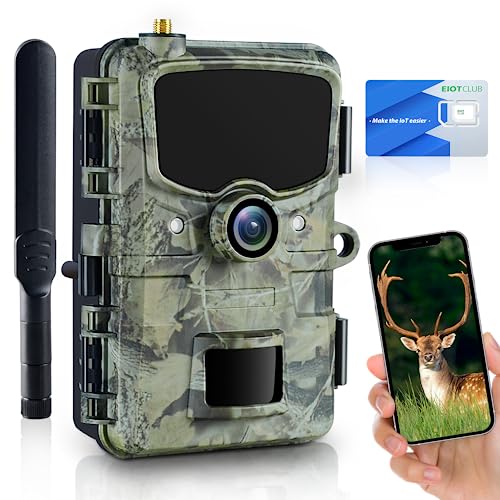 Phototraps avec SIM, 5G, 4G, 3G, MMS