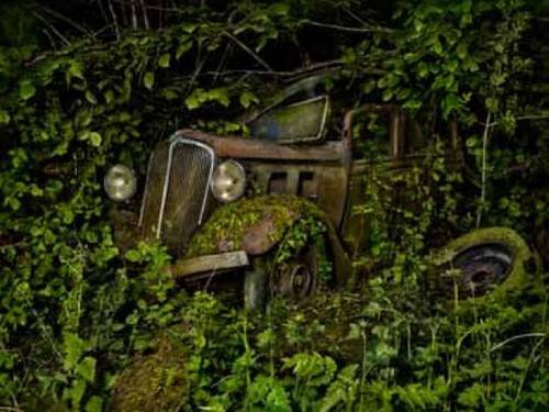 Peter Lippmann - No U Turn: Peter Lippman: 9782915173888: Amazon.com: Books