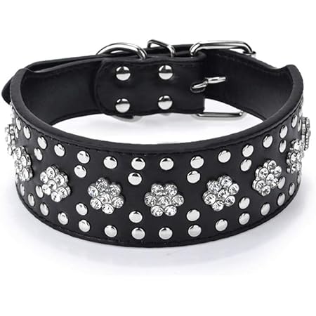 Amazon.com : Haoyueer Rhinestones Dog Collars Flower Pattern Rhinestone ...