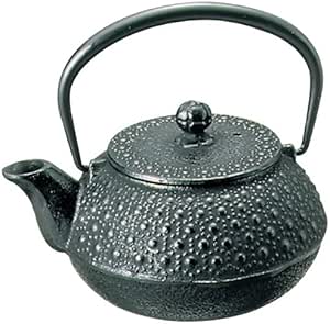 Amazon.com: Iwachu 12003 Teapot Type 3 Tortoise Shell Black 0.3L Inner Enameled Nambu Ironware ...