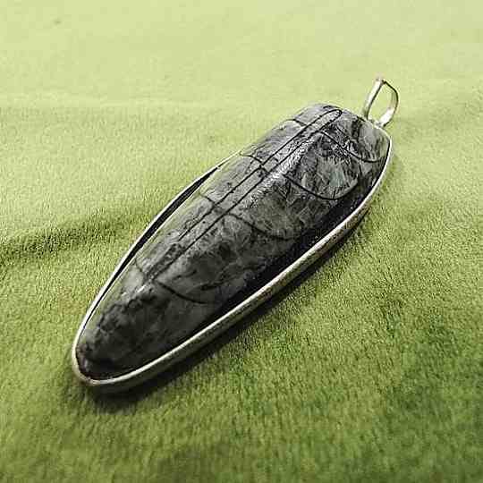 Buy ALPHA ASTRO EXPORTS Kuber Stone Pendant Orthoceras Mollusk ...