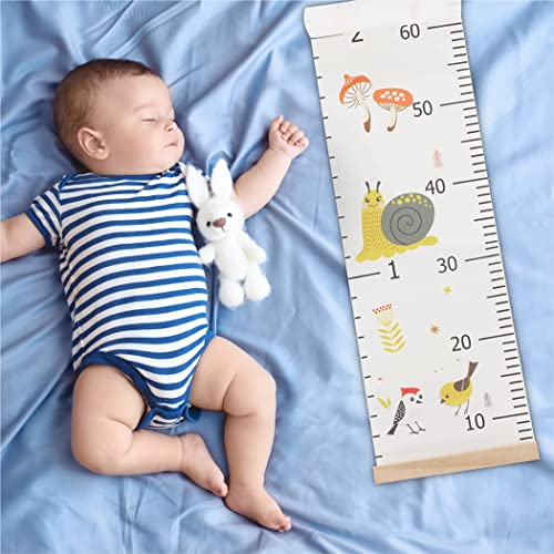 Wall chart for measuring the size of the child (boy or girl) to follow ...