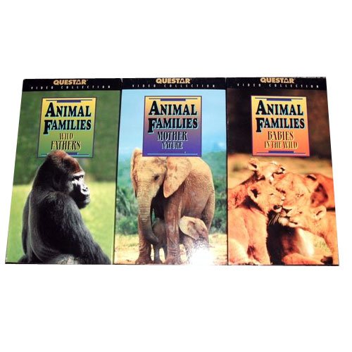 Amazon.com: Animal Families Questar Video Collection 3 Boxed Set VHS ...