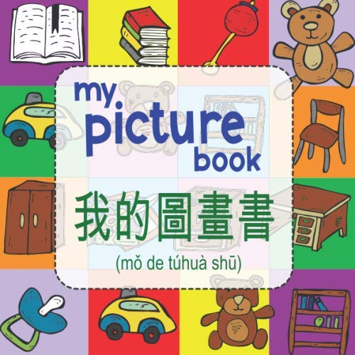My Picture Book / 我的圖畫書: A Bilingual English and Mandarin Visual ...