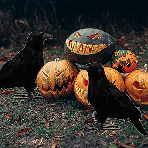 Snapklik.com : ATDAWN Halloween Birds, Black Feathered Crows, Realistic ...