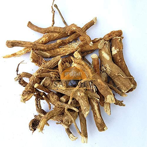 VISHU PLANT Punarnava root | Punarva | Boerhavia Diffusa - Jad 20 Root ...